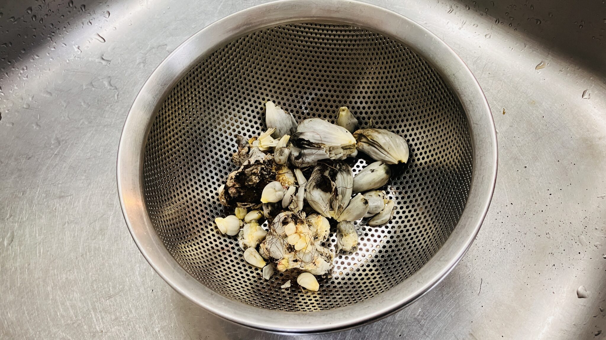 君たちはウイトラコチェを知っているか～Let's eat Huitlacoche～ | tetrarchia